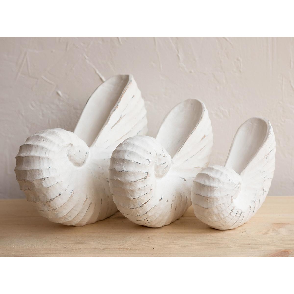 Купить декор Ракушка из дерева албезии | Уникальные предметы с о. Бали ...